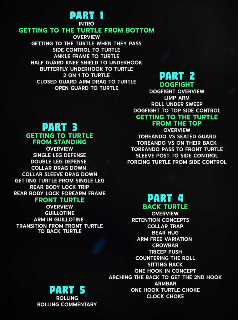 Gracie Fundamentals: Turtle Mastery by Rayron Gracie – BJJ Fanatics