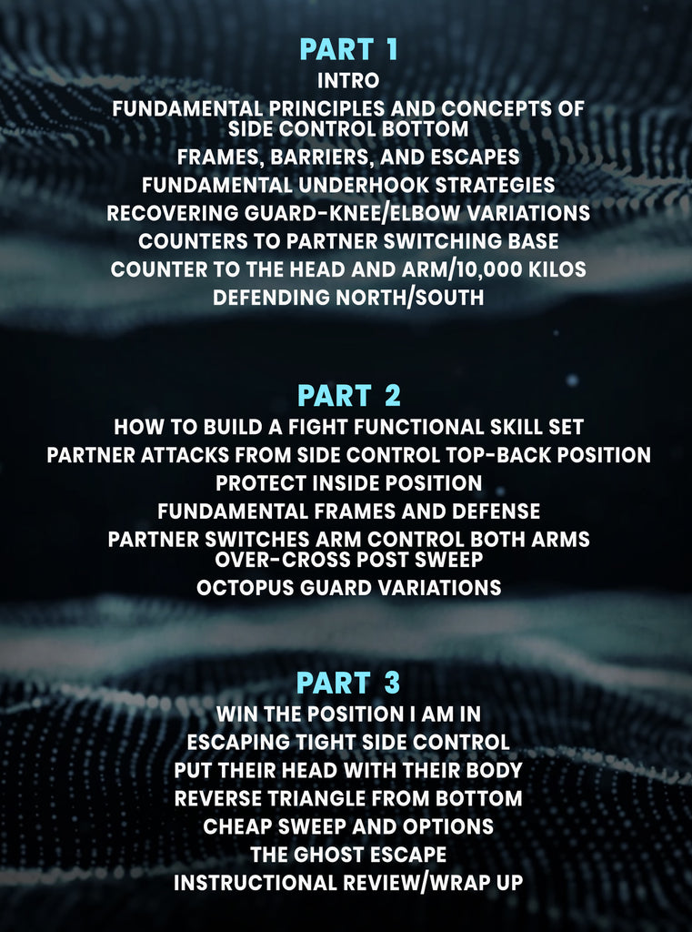 C4C PJJ Fight Functional Jiu-Jitsu by Chad Lyman – BJJ Fanatics