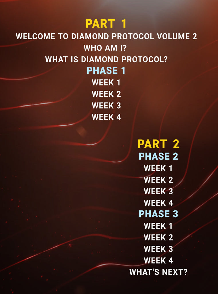 The Diamond Protocol for Jiu Jitsu & MMA by Ethan Benda – BJJ Fanatics