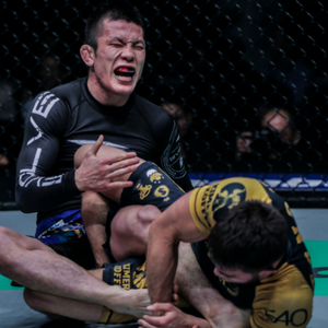 Leg Lock Starter Kit With Examples – BJJ Fanatics