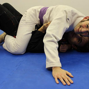 Basics of Mount Control – BJJ Fanatics