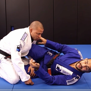 The Zany Z-Guard – BJJ Fanatics