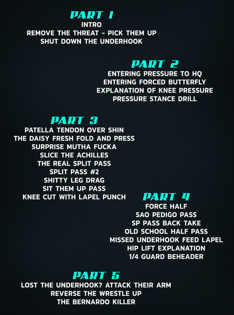 The Daisy Fresh Curriculum: Blue Belt Stripe 1 Gi by Heath Pedigo – BJJ ...