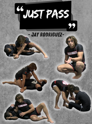 BJJ Fanatics - Brazilian Jiu-Jitsu Instructional Videos