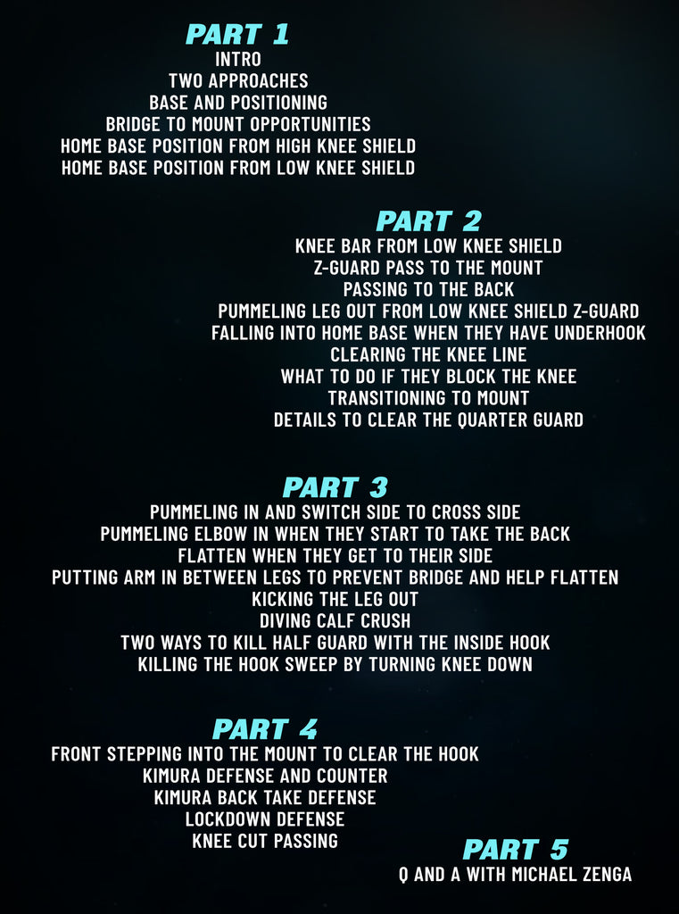 Dismantling And Passing The Half Guard: Half Guard Top by Professor He ...