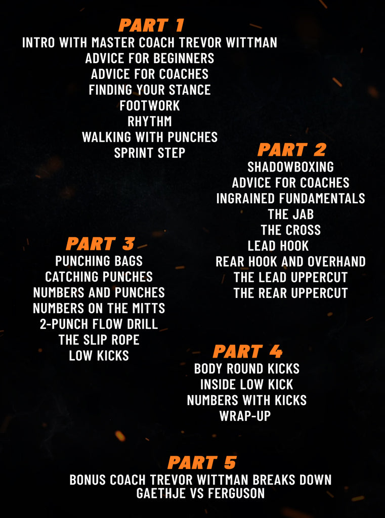 Tao of MMA: MMA Striking by Trevor Wittman and Duane Ludwig – BJJ Fanatics