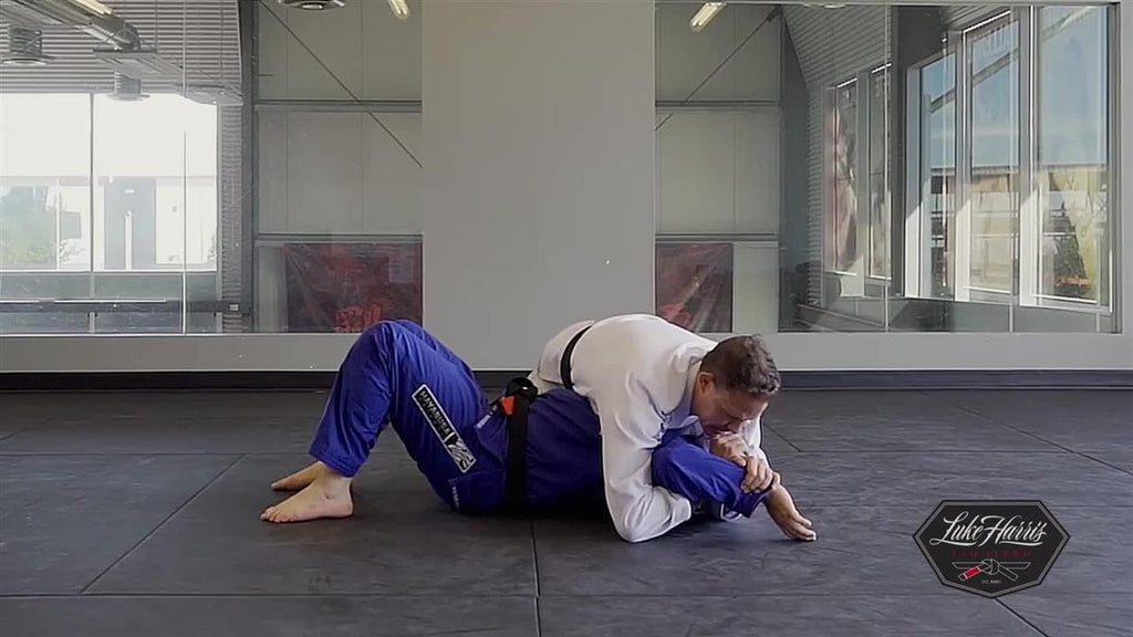 First Steps To Success by Luke Harris – BJJ Fanatics