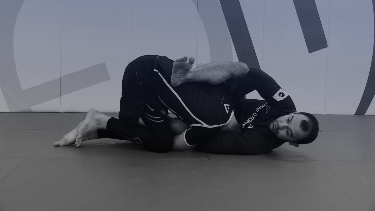 BJJ Fanatics - Brazilian Jiu-Jitsu Instructional Videos