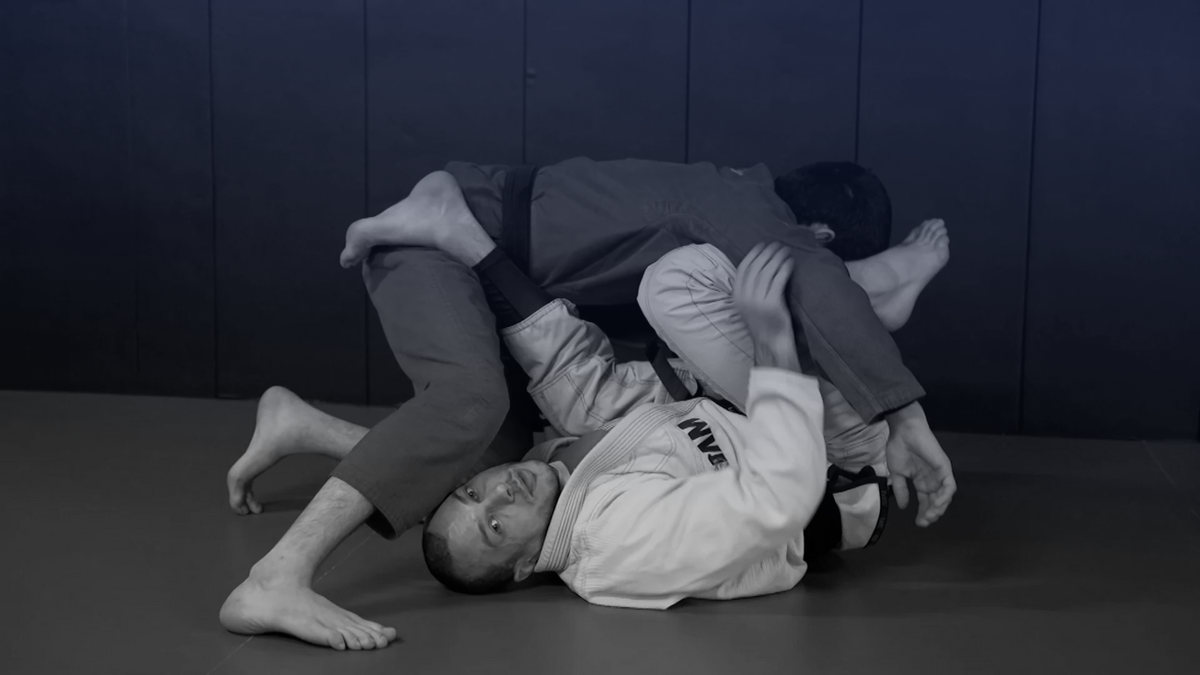 BJJ Fanatics - Brazilian Jiu-Jitsu Instructional Videos