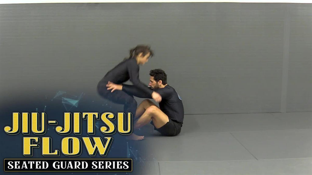 Jiu Jitsu Flow by Ari Goldman – BJJ Fanatics
