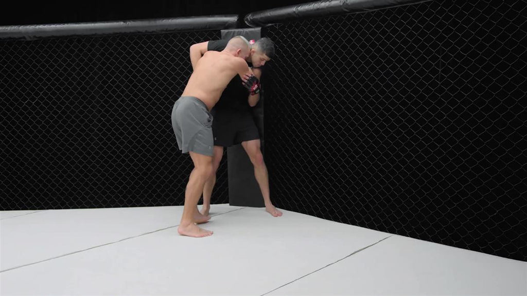 Mixed Martial Arts Fundamentals by Georges St-Pierre – BJJ Fanatics