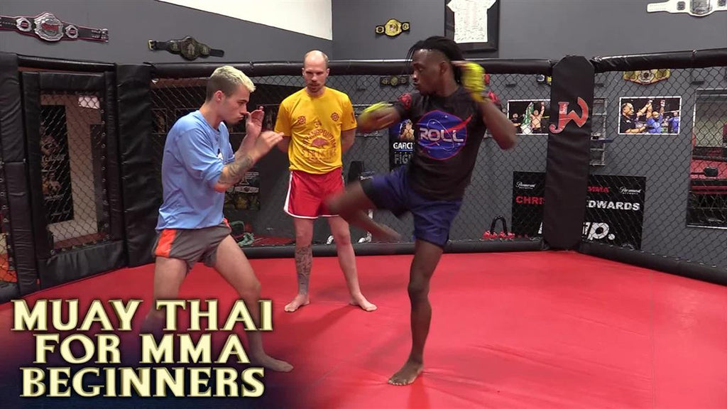 Muay Thai For MMA Beginners by Alex Exsisto – BJJ Fanatics