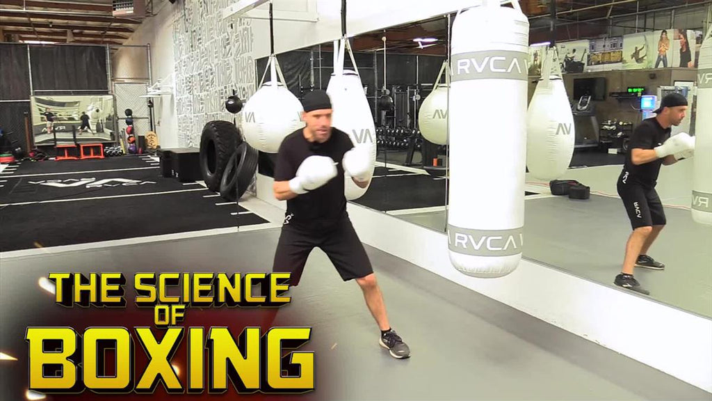The Science of Boxing by Jason Parillo – BJJ Fanatics