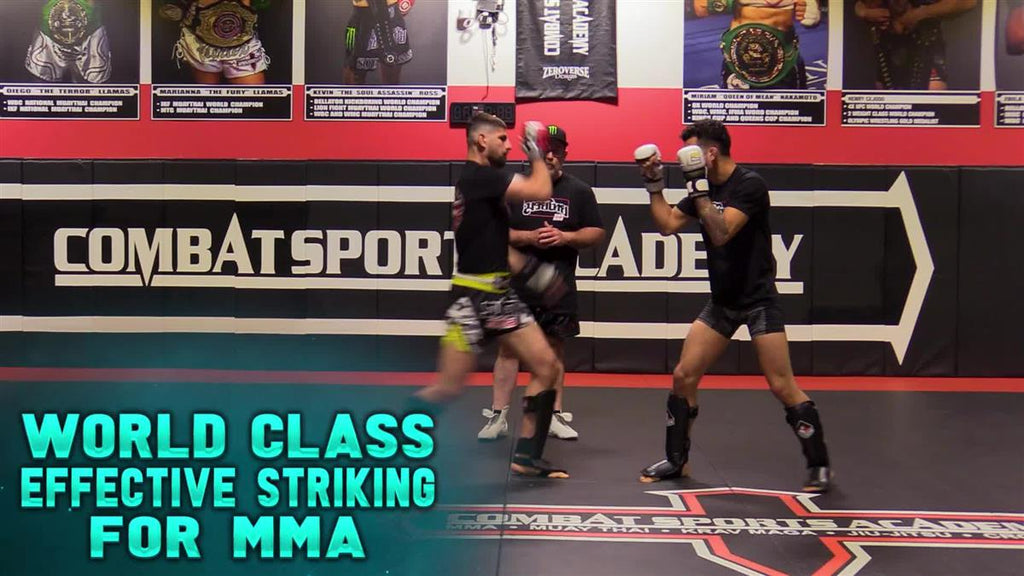 World Class Effective Striking For MMA by Kirian Fitzgibbons – BJJ Fanatics