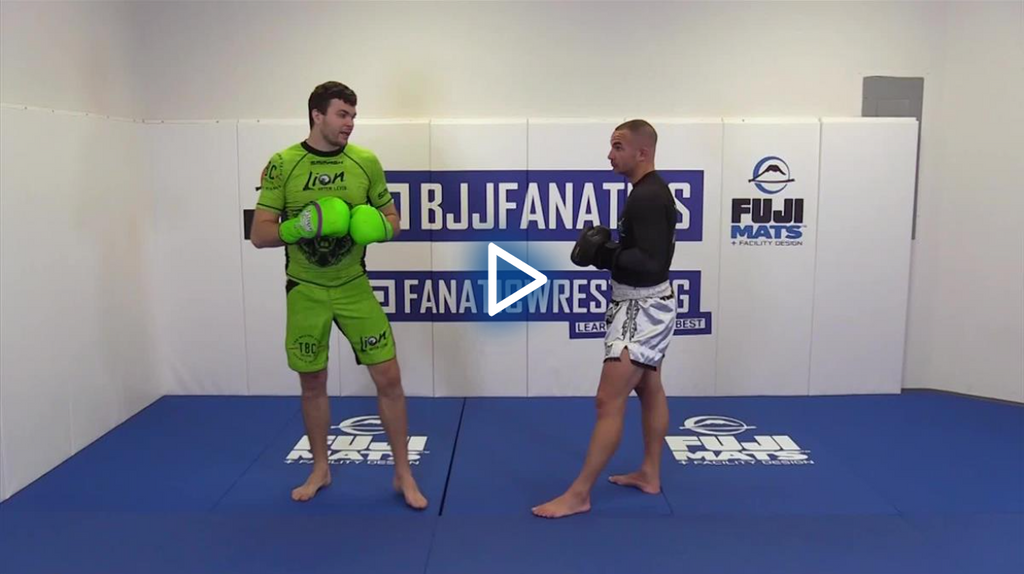 The Knee Strike Encyclopedia by Artem Levin – BJJ Fanatics
