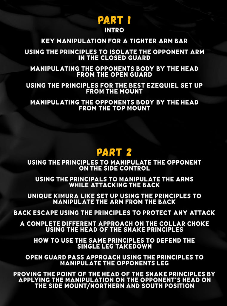 Head Of The Snake Concept: Manipulation Principles For Total Control b ...