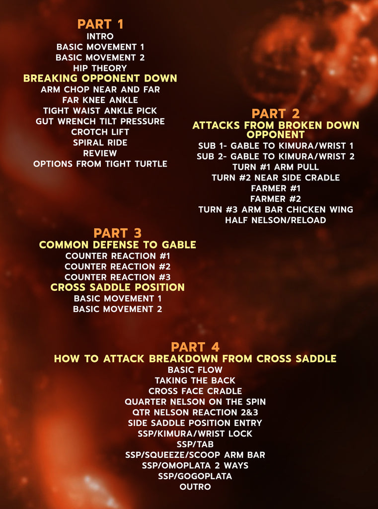 Attacking The Turtle Guard With Wrestlers For BJJ by Casey Lamb – BJJ ...