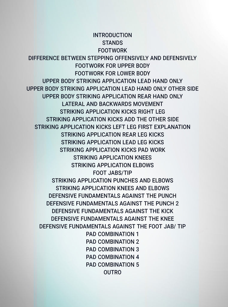 The Fundamental System of Muay Thai by Jake Mainini – BJJ Fanatics