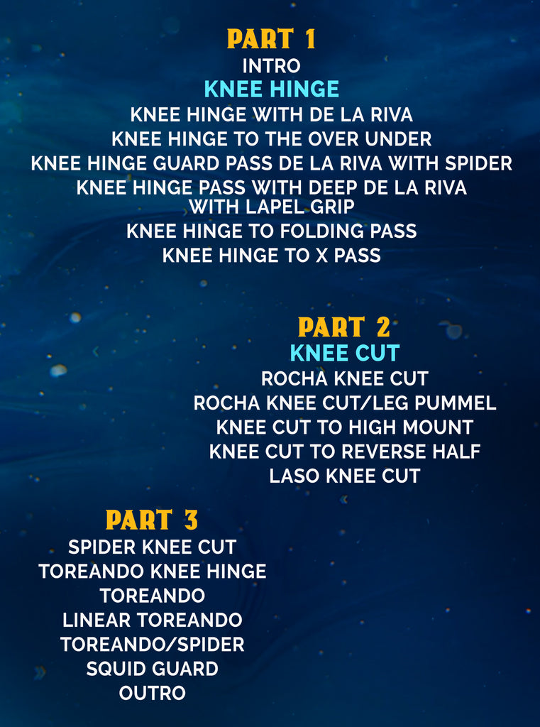 Effective Guard Passing by Joao Gabriel Rocha – BJJ Fanatics