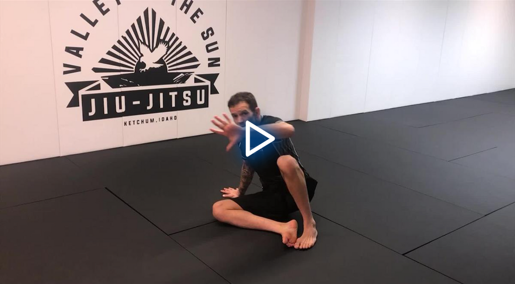 Ultimate Flowchart by Joel Bouhey – BJJ Fanatics