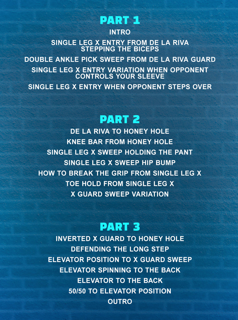 The Modern Single Leg X Guard System by Kaynan Duarte – BJJ Fanatics