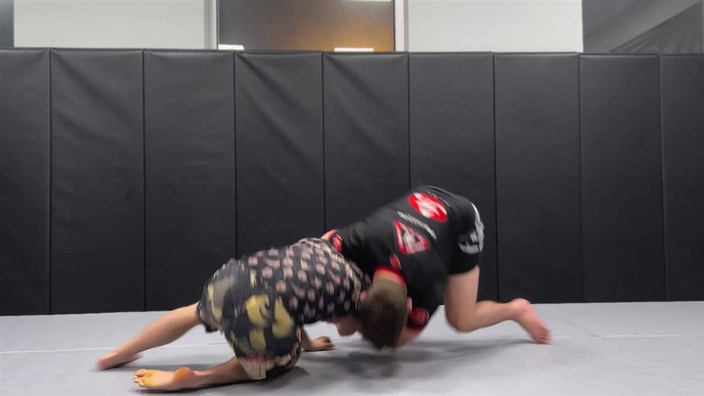 Darce Destruction by Sean Yadimarco – BJJ Fanatics