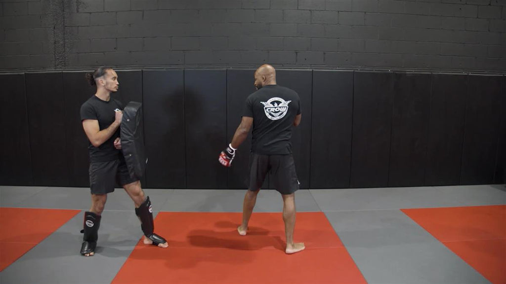 MMA Striking by David Loiseau – BJJ Fanatics