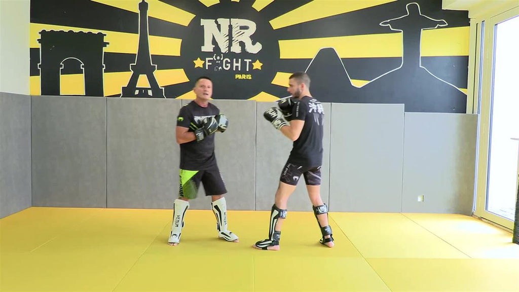 Striking For MMA by Daniel Woirin – BJJ Fanatics