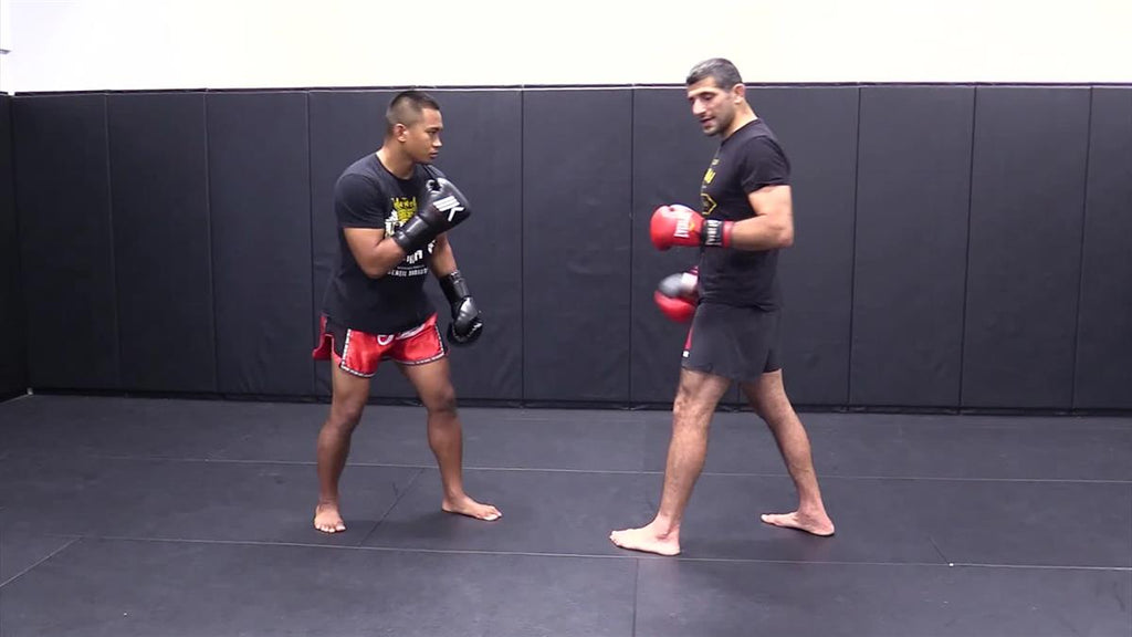 The MMA Low Kick Manual by Beneil Dariush – BJJ Fanatics