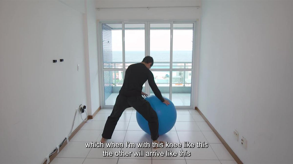 The Mobility Ball Encyclopedia volume 1: Building Basic Mobility by Hu ...