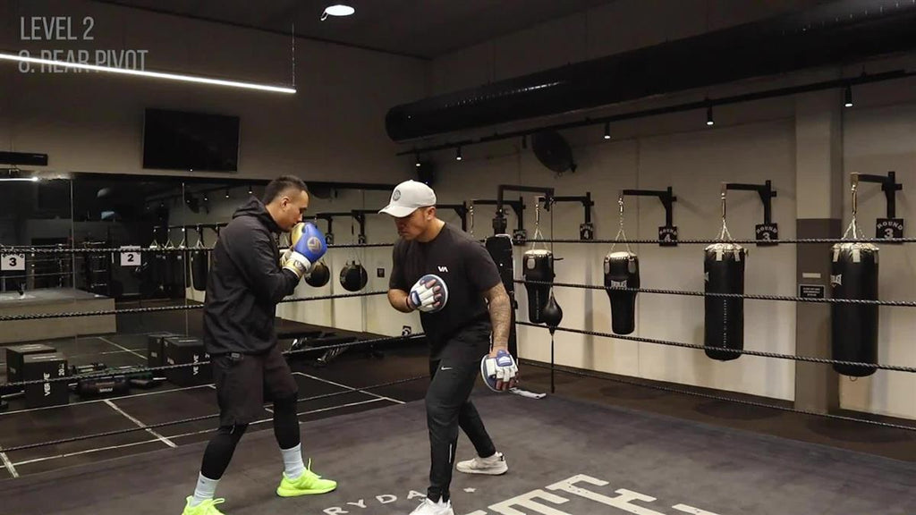 The Padbros Mayweather System by Ray Sabur – BJJ Fanatics