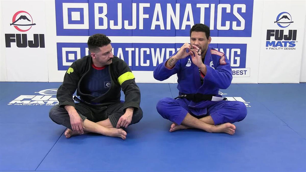 The Pena Back Attack System: Retention, Control, Submissions by Felipe ...